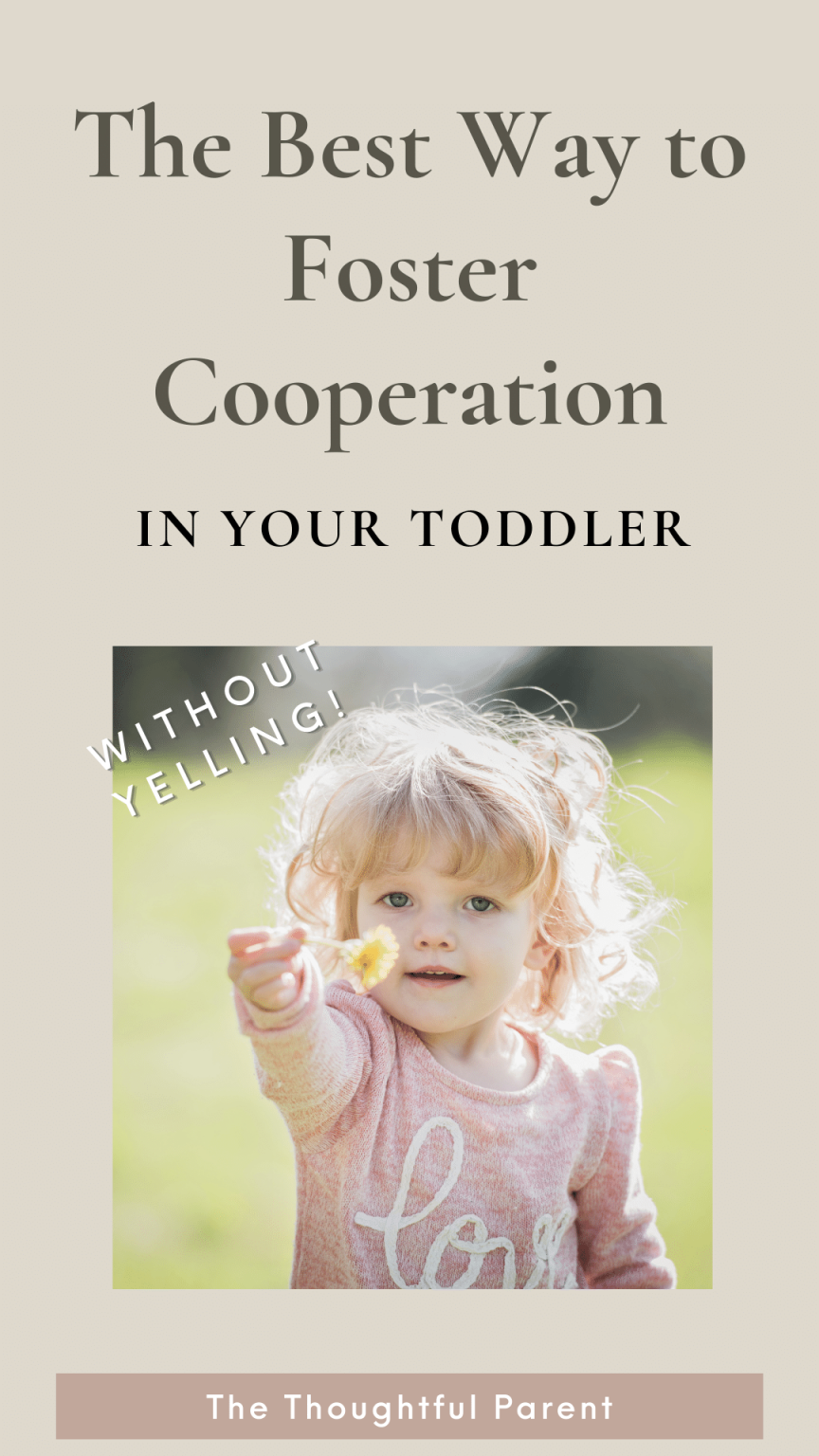 Giving Toddlers Choices: One Secret that Fosters Cooperation