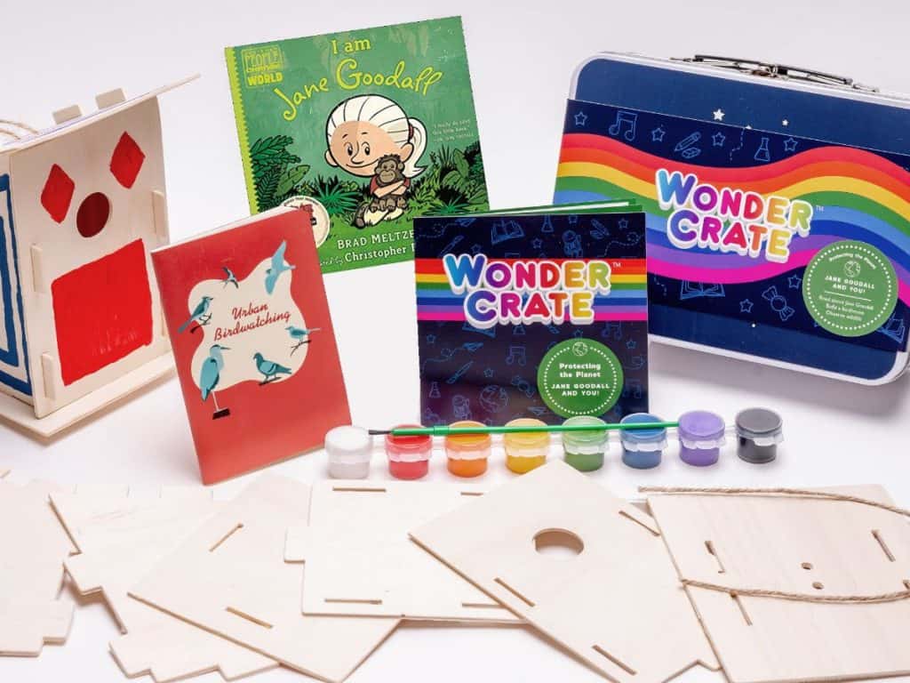 Emotional Development Toys That Build Skills and Motivate Kids